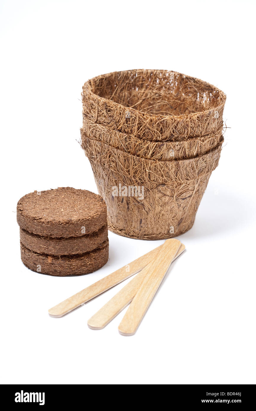 Plant labels isolated Cut Out Stock Images & Pictures - Alamy