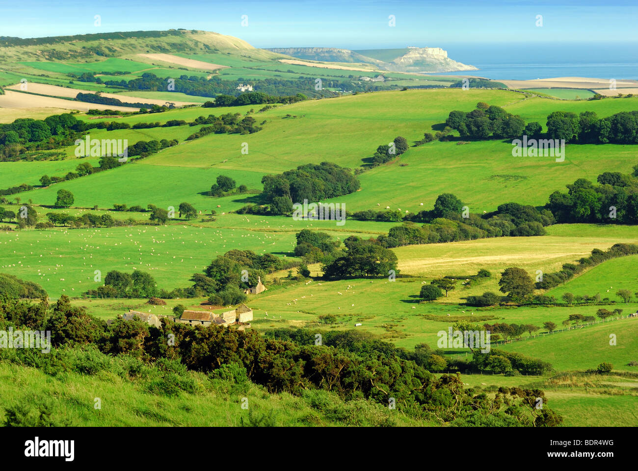 Purbeck Hills in the summertime Dorset UK Stock Photo - Alamy