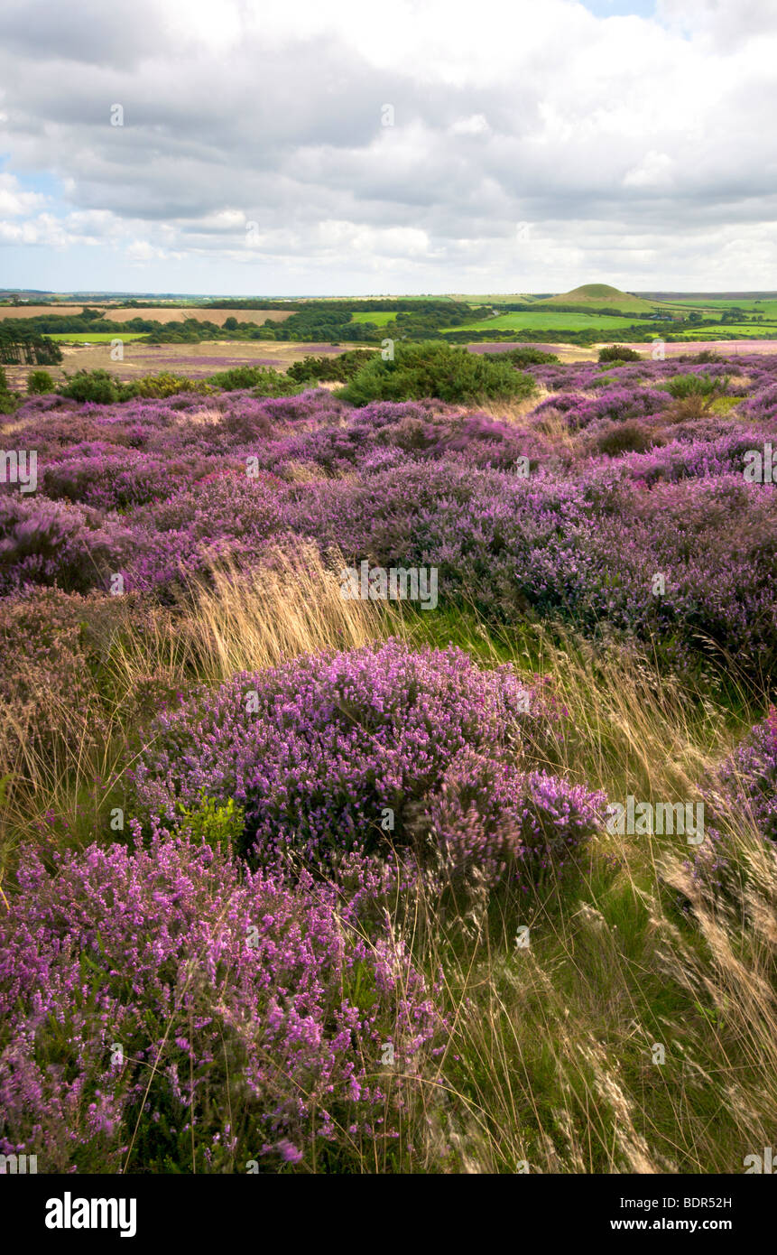 Scenic view of north yorks moors hi-res stock photography and images ...