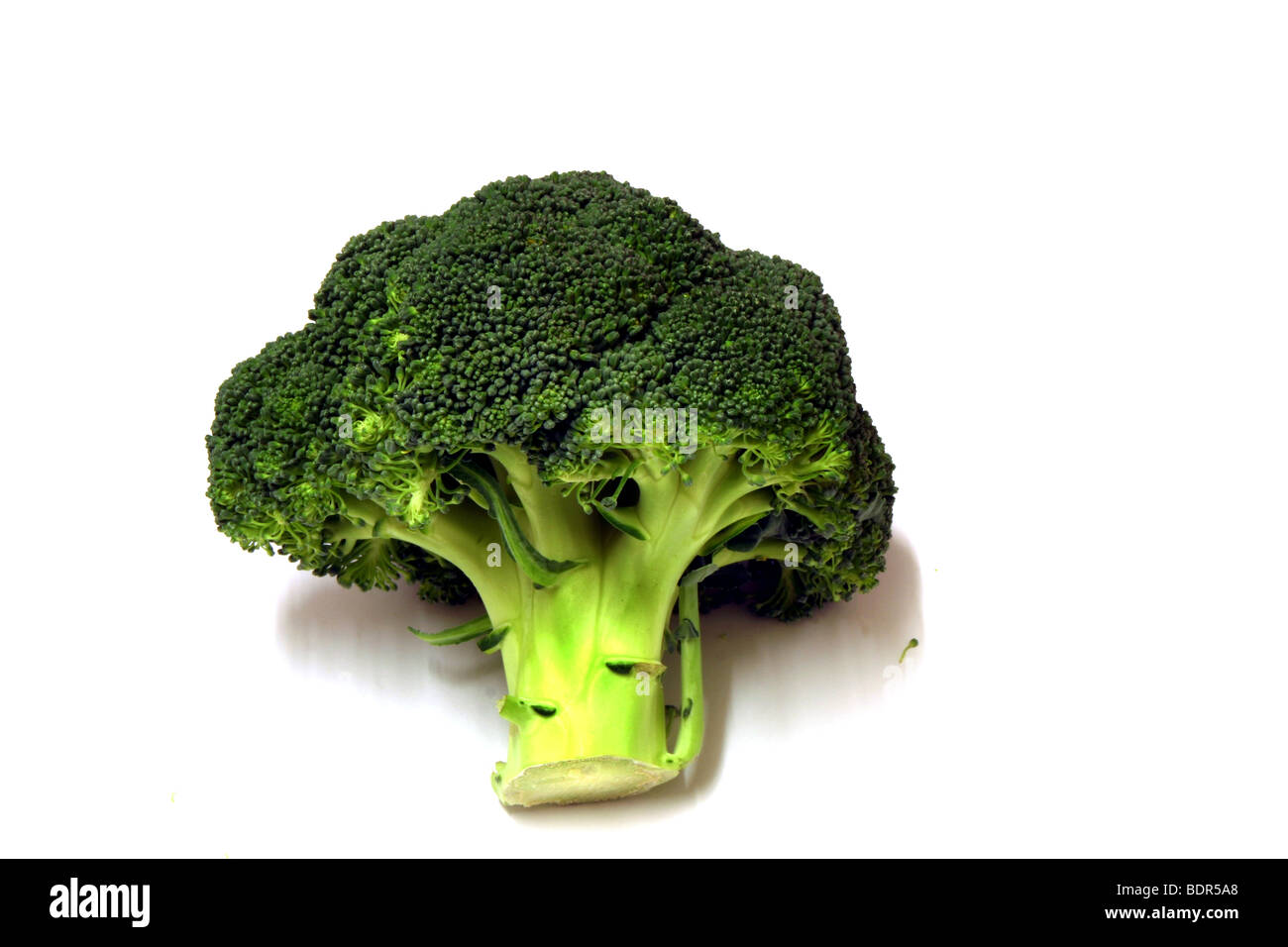 broccoli, isolated on white Stock Photo - Alamy