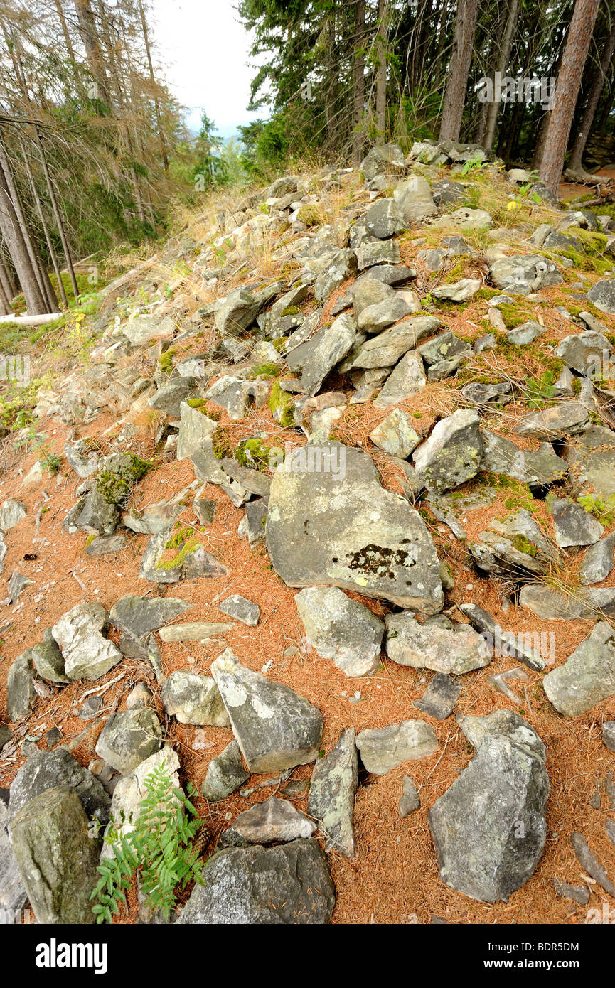 The Bohemian Forest mountain range, Sumava National Park, Böhmerwald ...