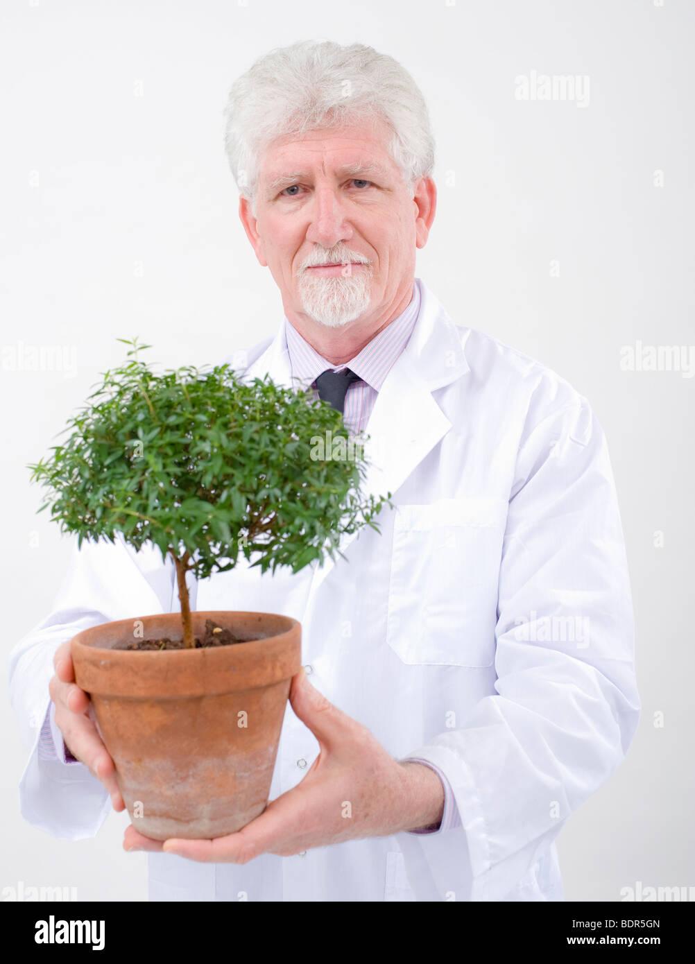 Old botanical lab hi-res stock photography and images - Alamy