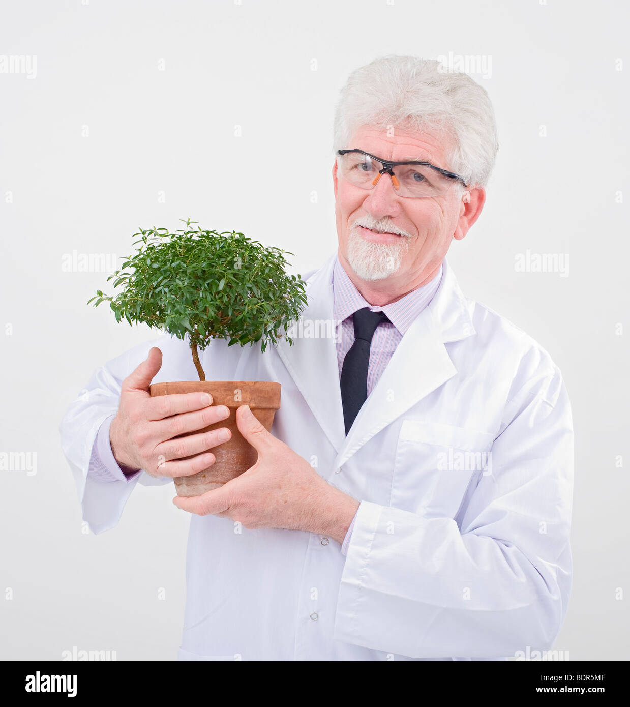Potted tree hi-res stock photography and images - Alamy