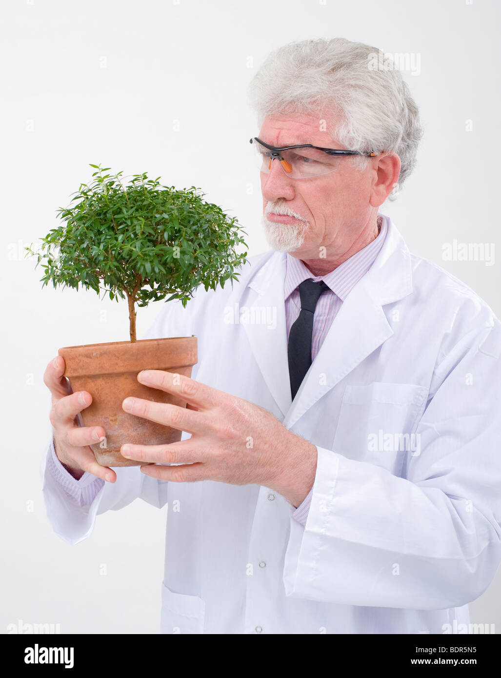 Potted tree hi-res stock photography and images - Alamy