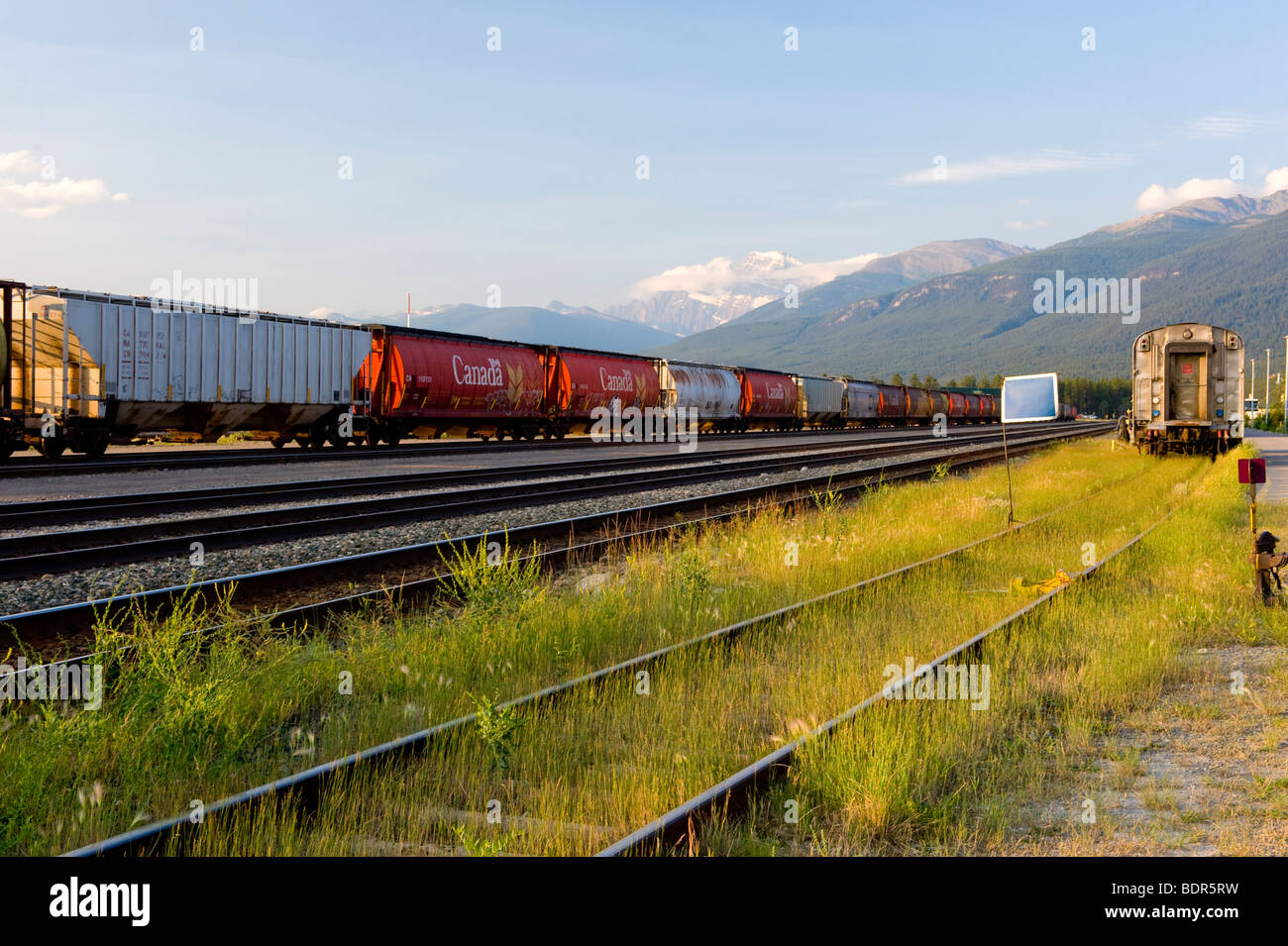 Canada train jasper hi-res stock photography and images - Alamy