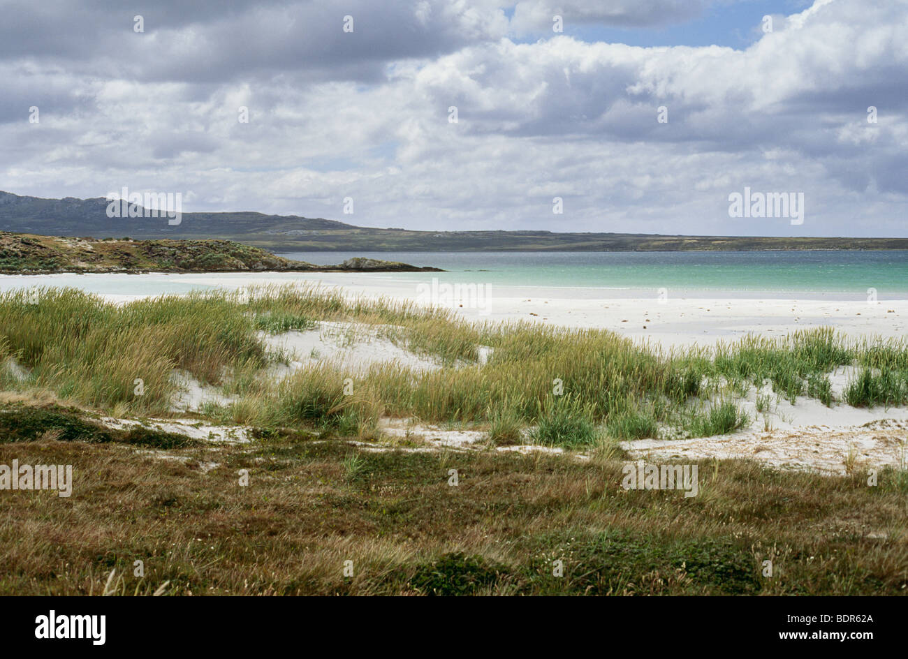Bay Falkland Islands Stock Photo - Alamy