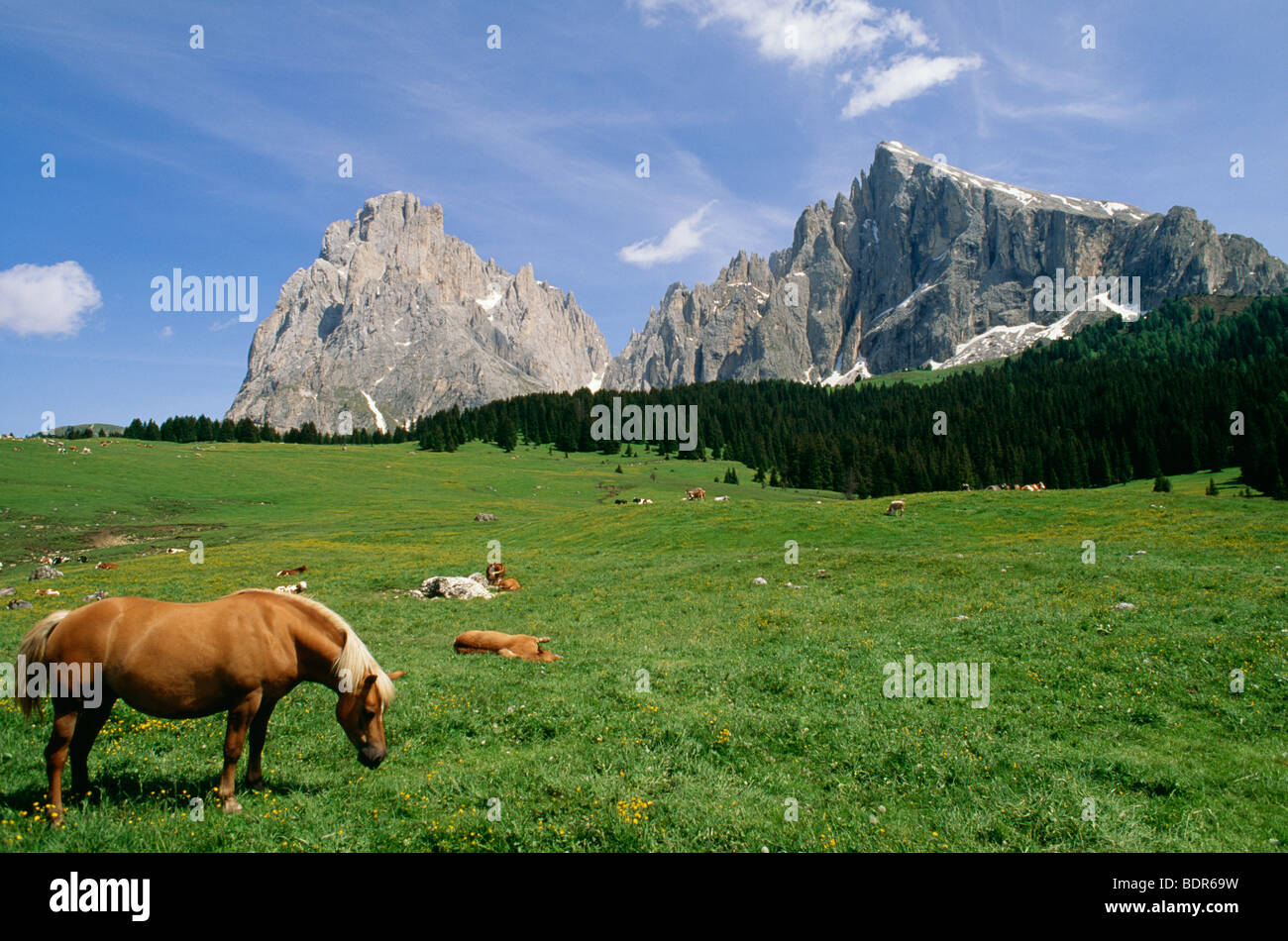 Mountain landscape Val Gardena Italy Stock Photo - Alamy