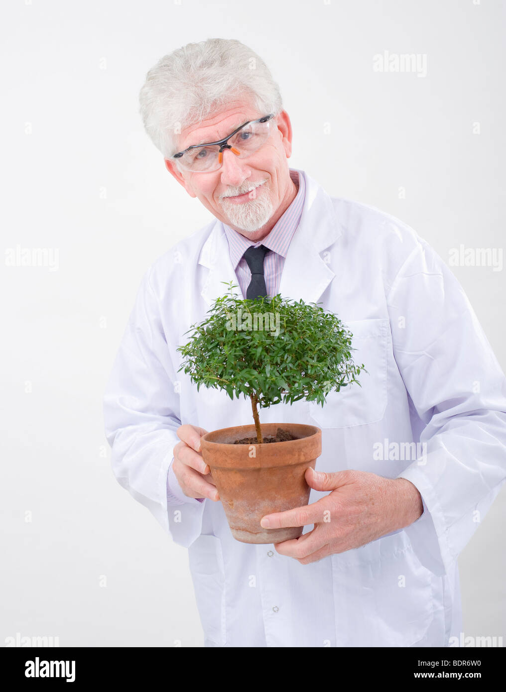 Geneticist tree hi-res stock photography and images - Alamy