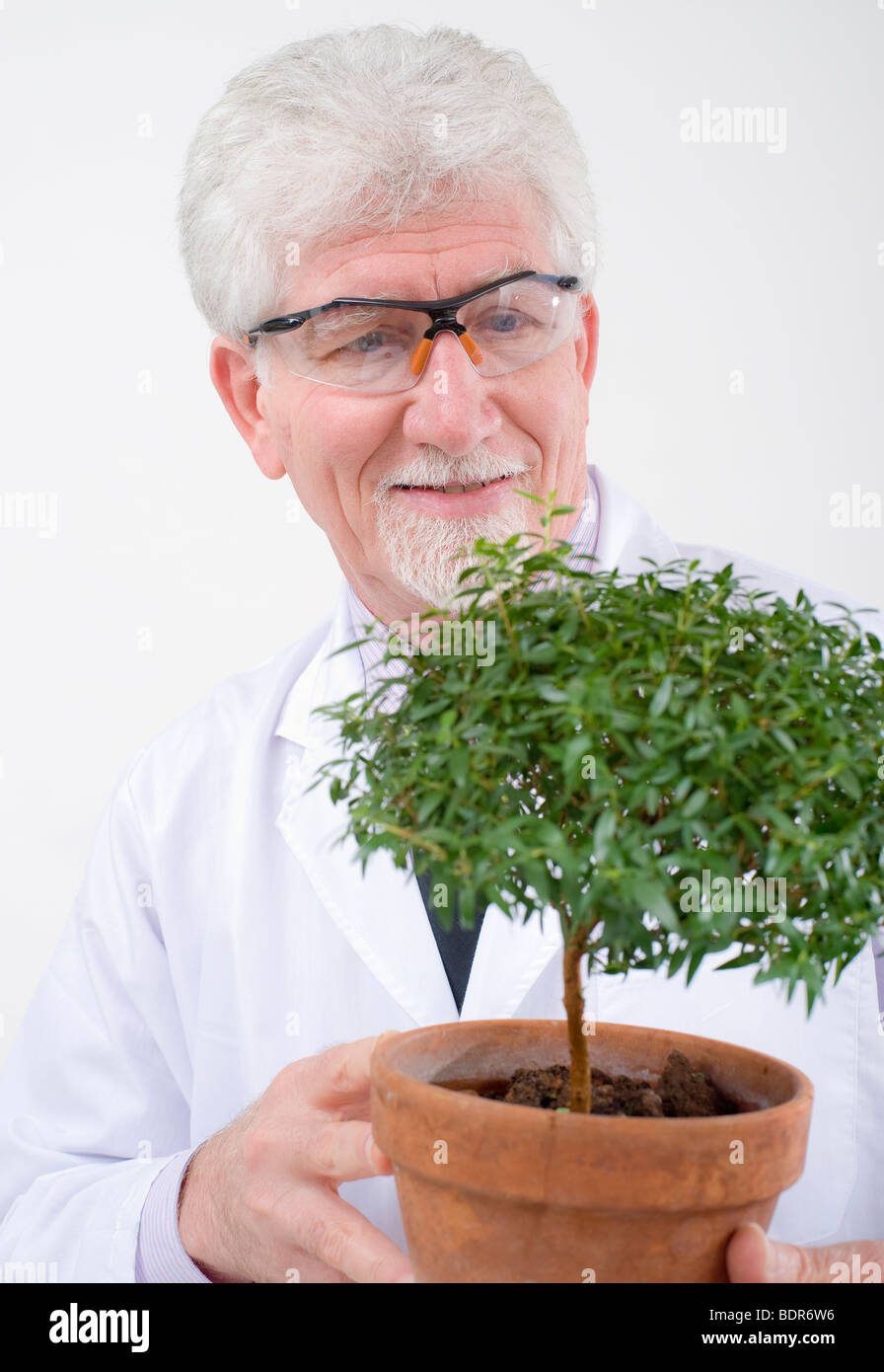 Potted tree hi-res stock photography and images - Alamy