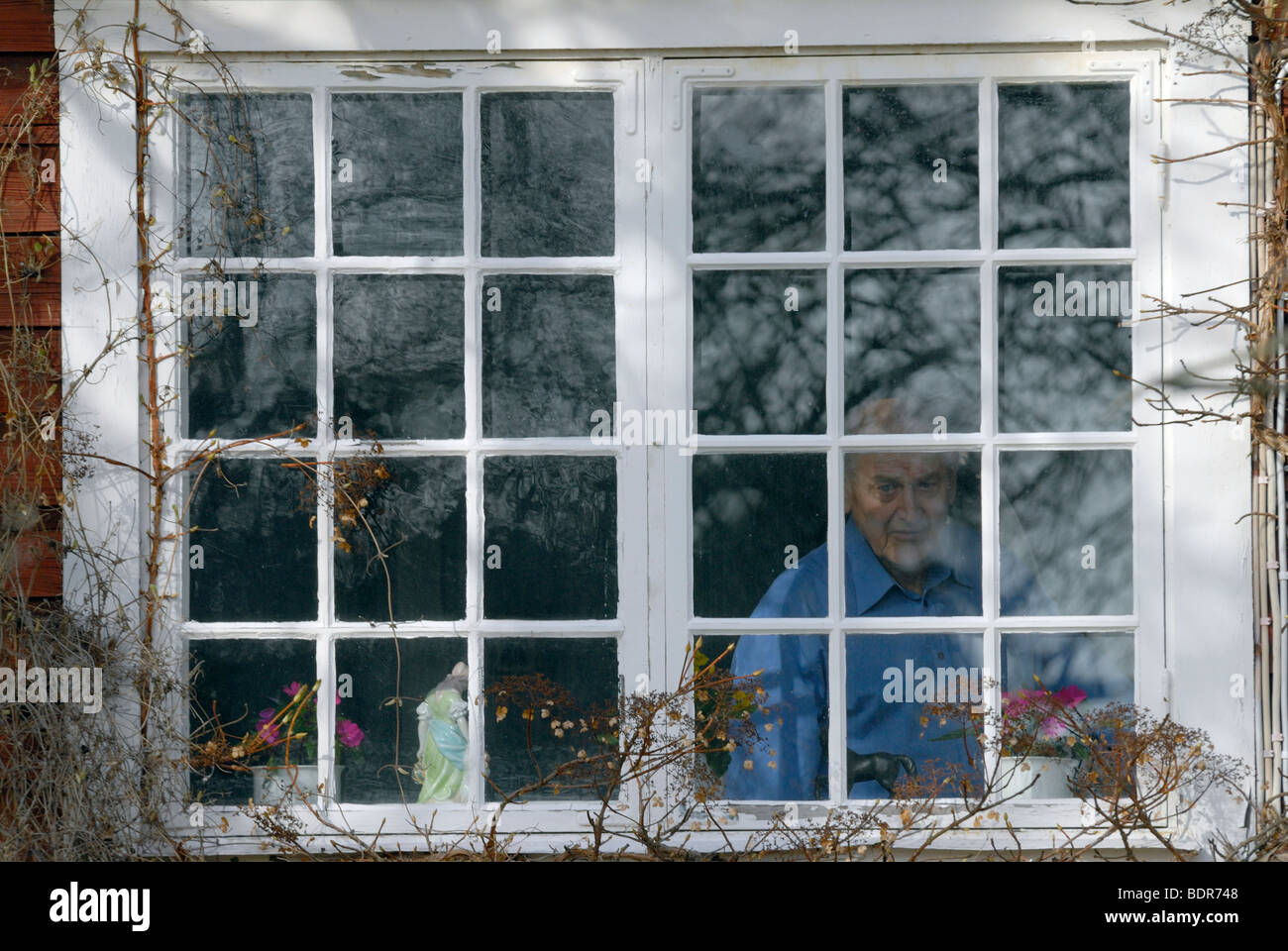 An old man looking out the window Stock Photo - Alamy
