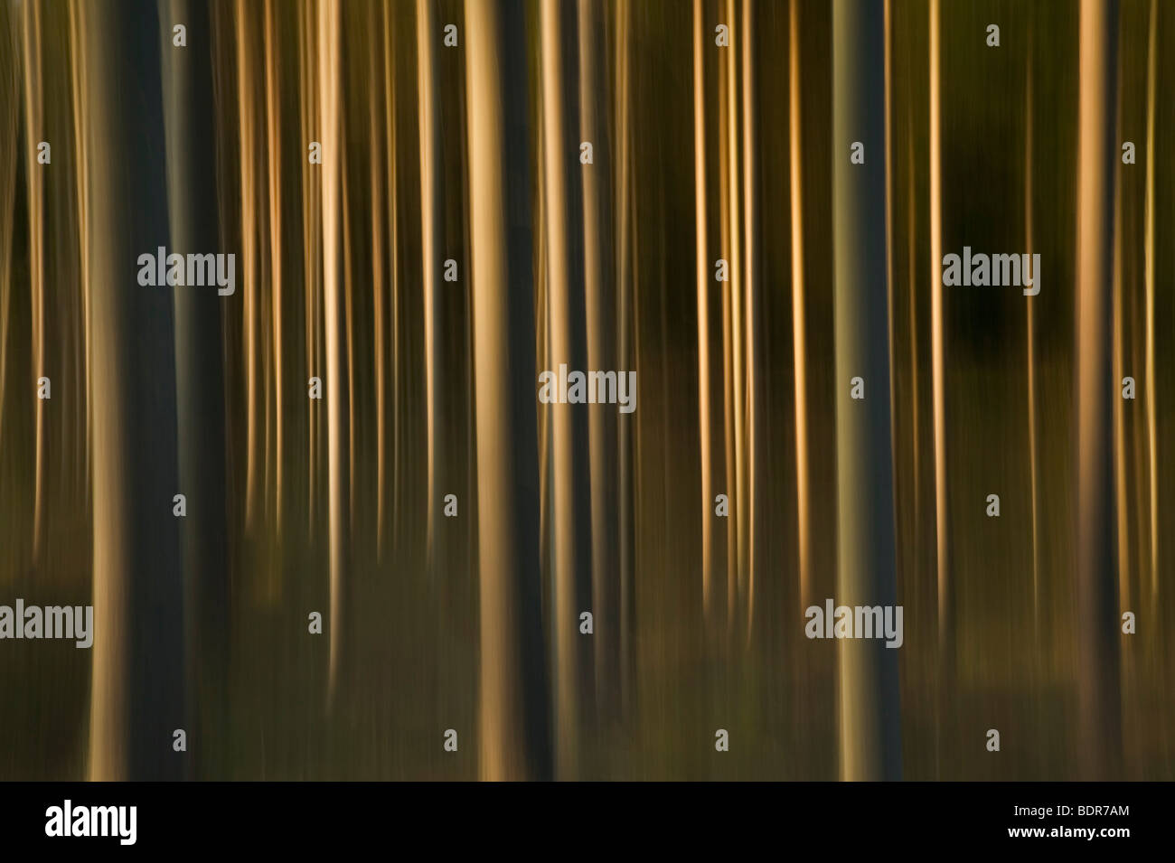 Abstract destiny hi-res stock photography and images - Alamy