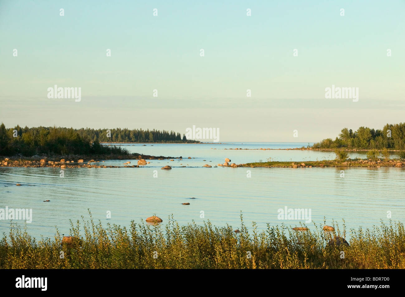 Blue coasted hi-res stock photography and images - Alamy