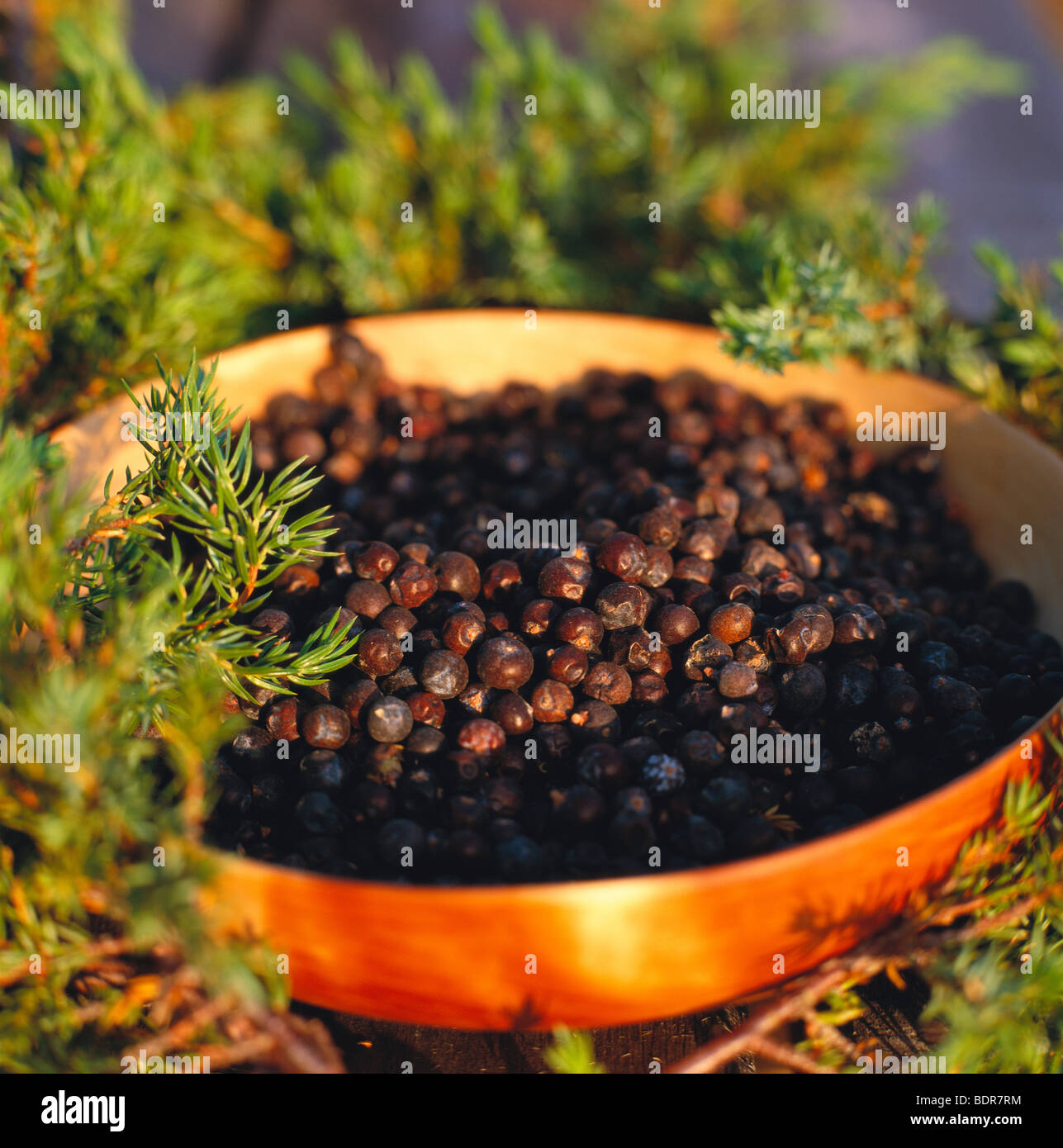 Sweden sami culture, lapland hi-res stock photography and images - Alamy