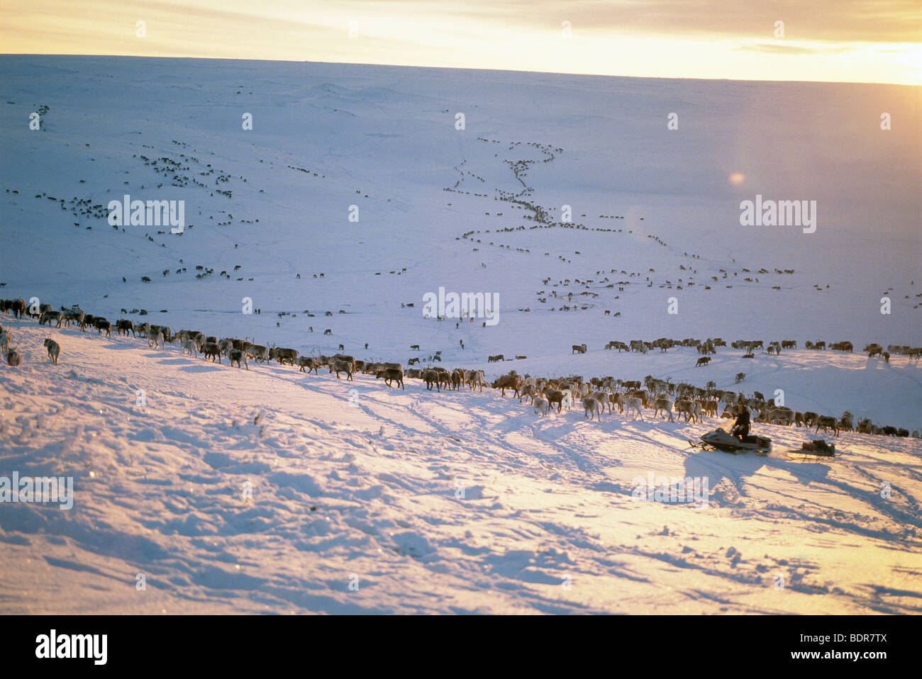 Laplanders hi-res stock photography and images - Alamy