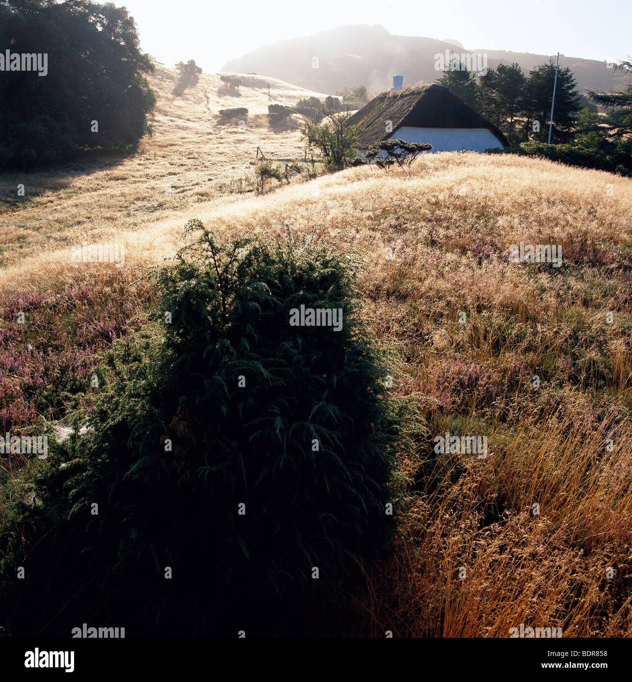 Rebild hi-res stock photography and images - Alamy