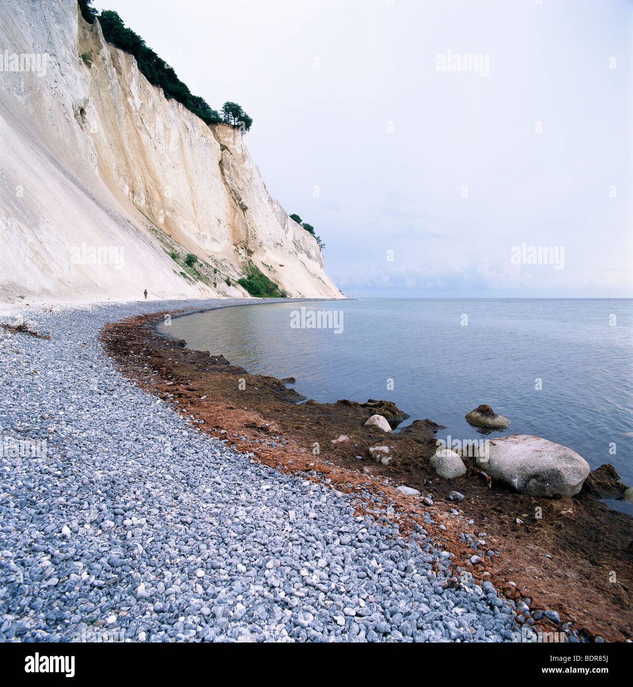 Coastline and Pebble beach at Mons Klint, M¯n, Denmark Stock Photo - Alamy