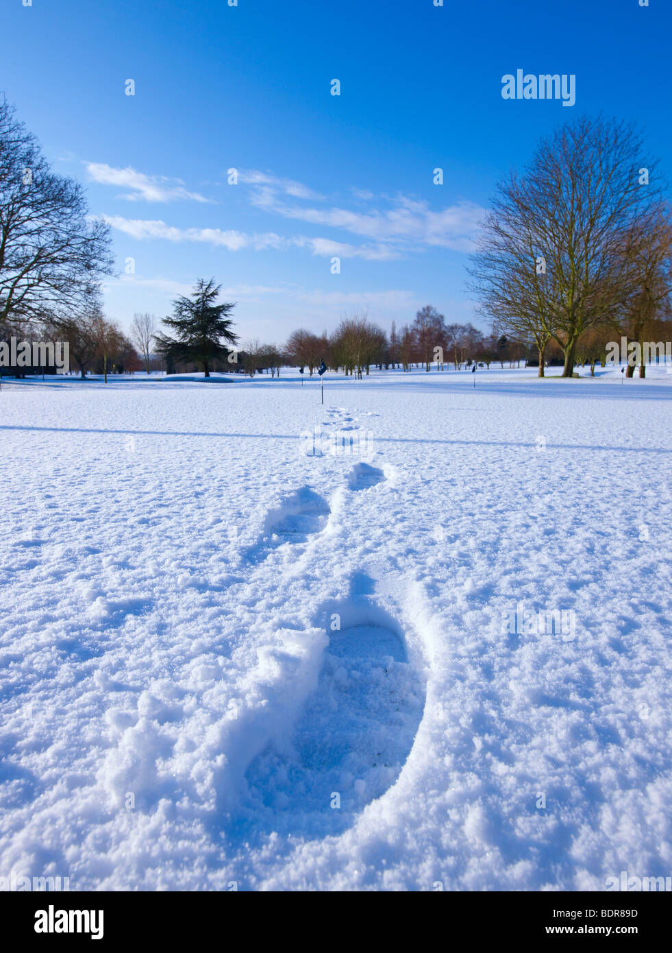 footprints in snow Stock Photo - Alamy