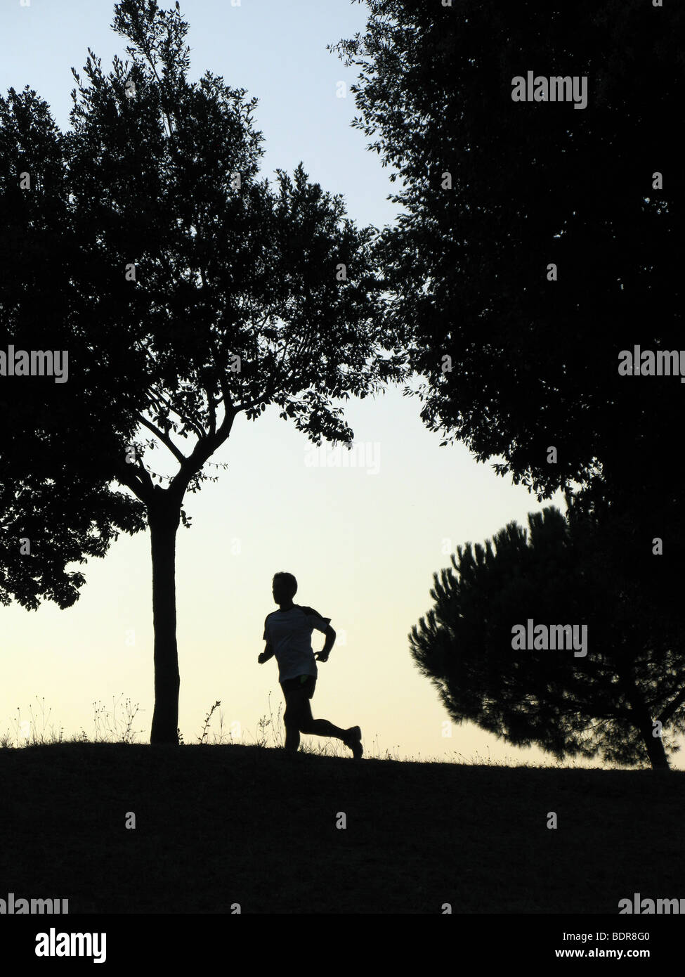 silhouette lonely runner in woods at dusk Stock Photo - Alamy
