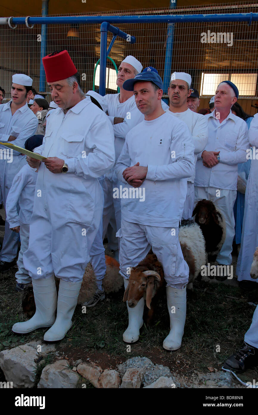 Samaria, the Samaritan Passover sacrifice on Mount Gerizim Stock Photo ...
