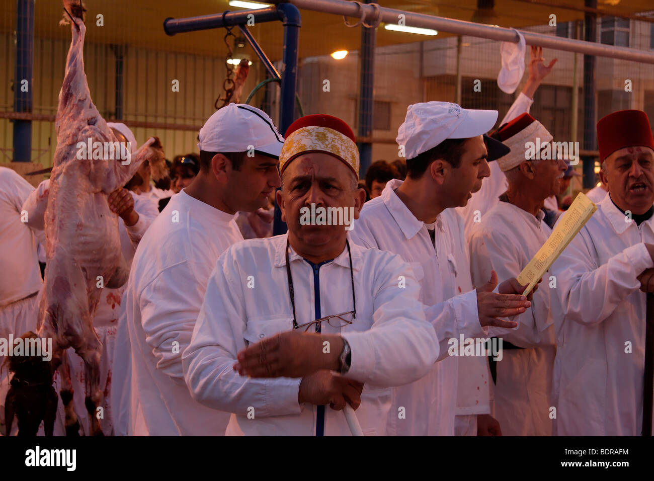 Samaria, the Samaritan Passover sacrifice on Mount Gerizim Stock Photo ...