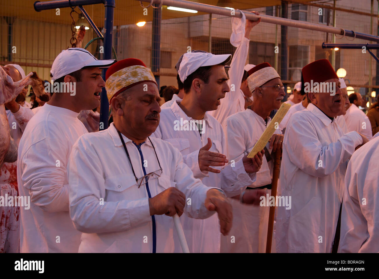 Samaria, the Samaritan Passover sacrifice on Mount Gerizim Stock Photo ...