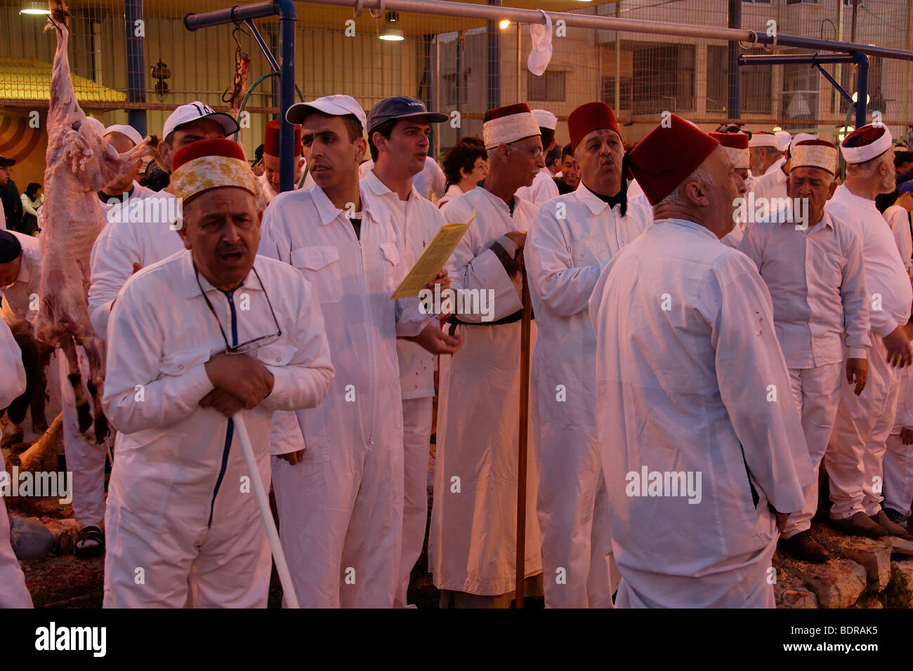 Samaria, the Samaritan Passover sacrifice on Mount Gerizim Stock Photo ...