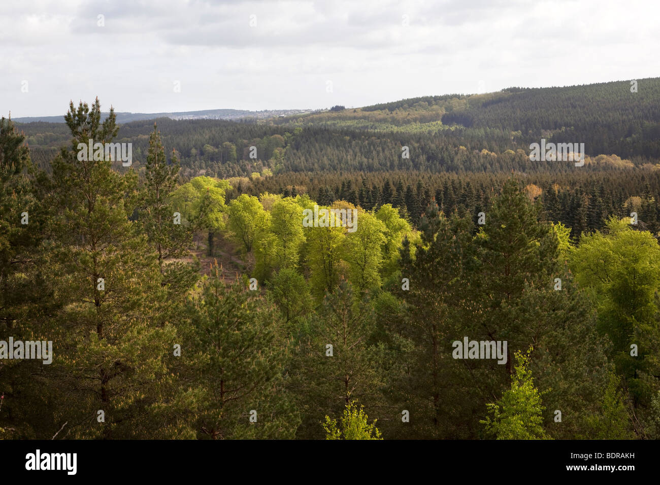 UK, Gloucestershire, Forest of Dean, New Fancy View elevated view over ...