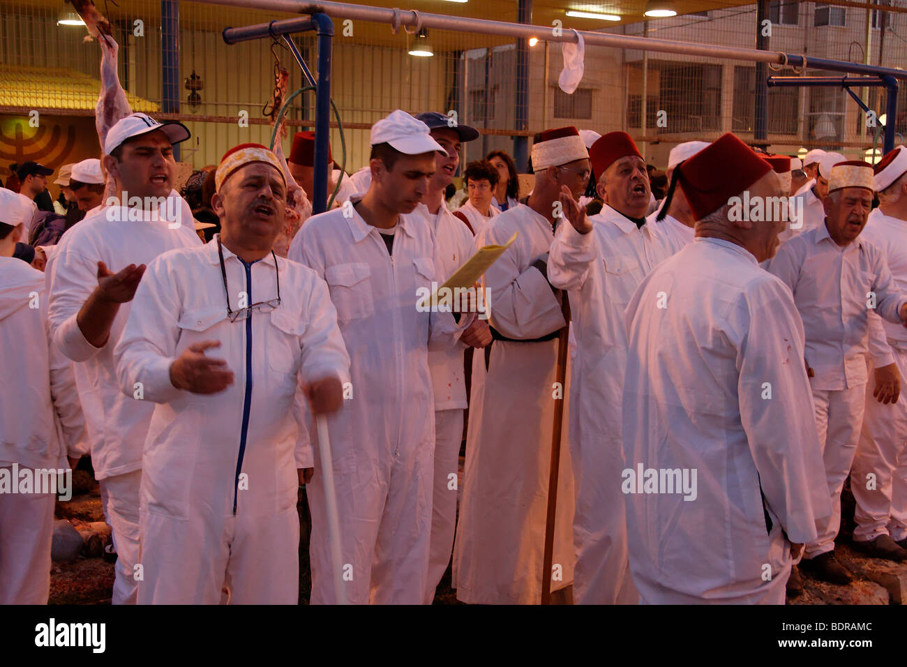 Samaria, the Samaritan Passover sacrifice on Mount Gerizim Stock Photo ...