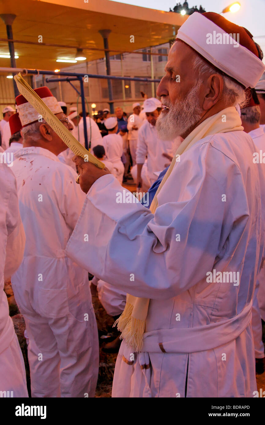 Samaria, the Samaritan Passover sacrifice on Mount Gerizim Stock Photo ...