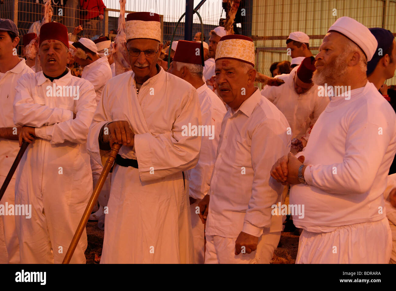 Samaria, the Samaritan Passover sacrifice on Mount Gerizim Stock Photo ...
