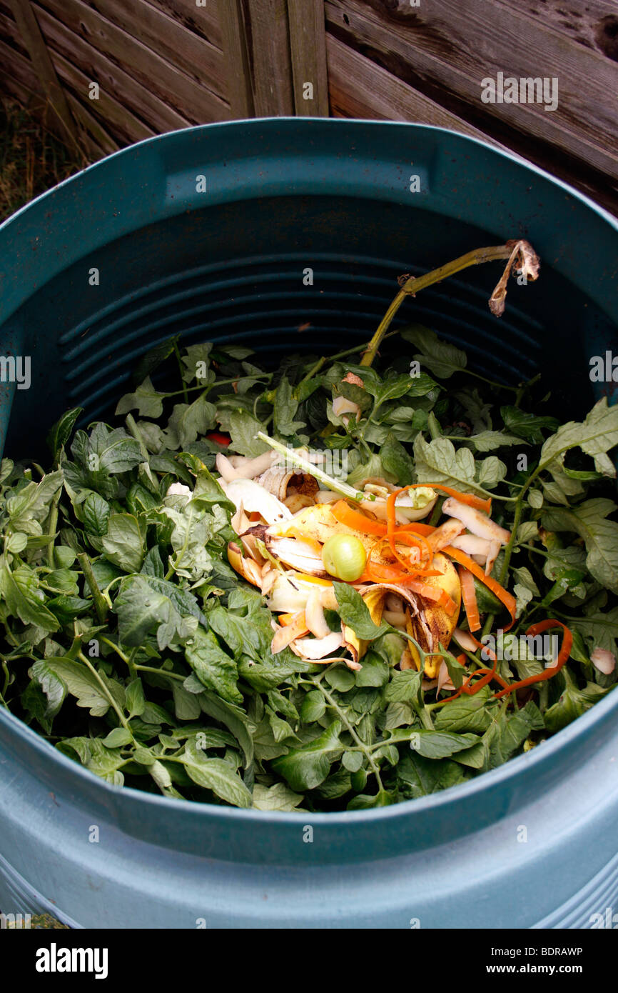 COMPOSTING KITCHEN WASTE IN A DOMESTIC COMPOST BIN Stock Photo - Alamy