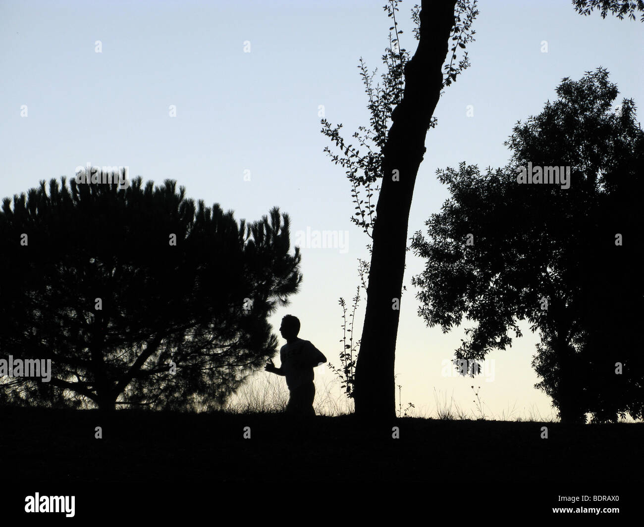 silhouette lonely runner in woods at dusk Stock Photo - Alamy