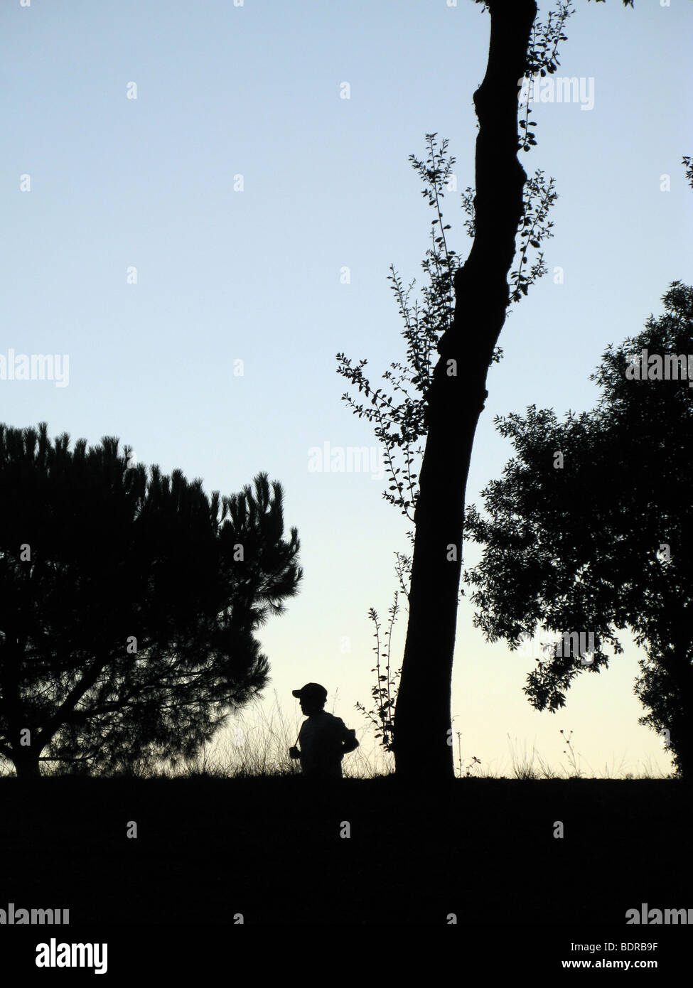 silhouette lonely runner in woods at dusk Stock Photo - Alamy