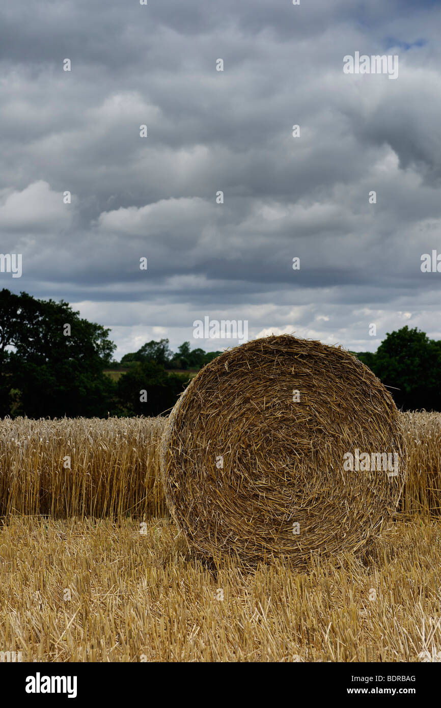 Bale hi-res stock photography and images - Alamy