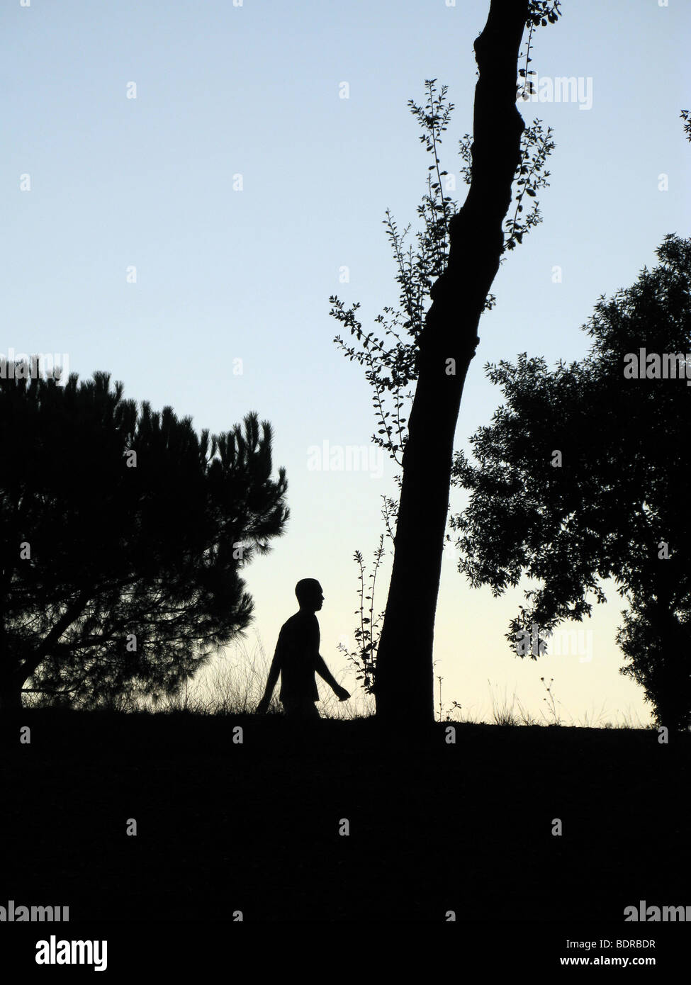 silhouette lonely runner in woods at dusk Stock Photo - Alamy