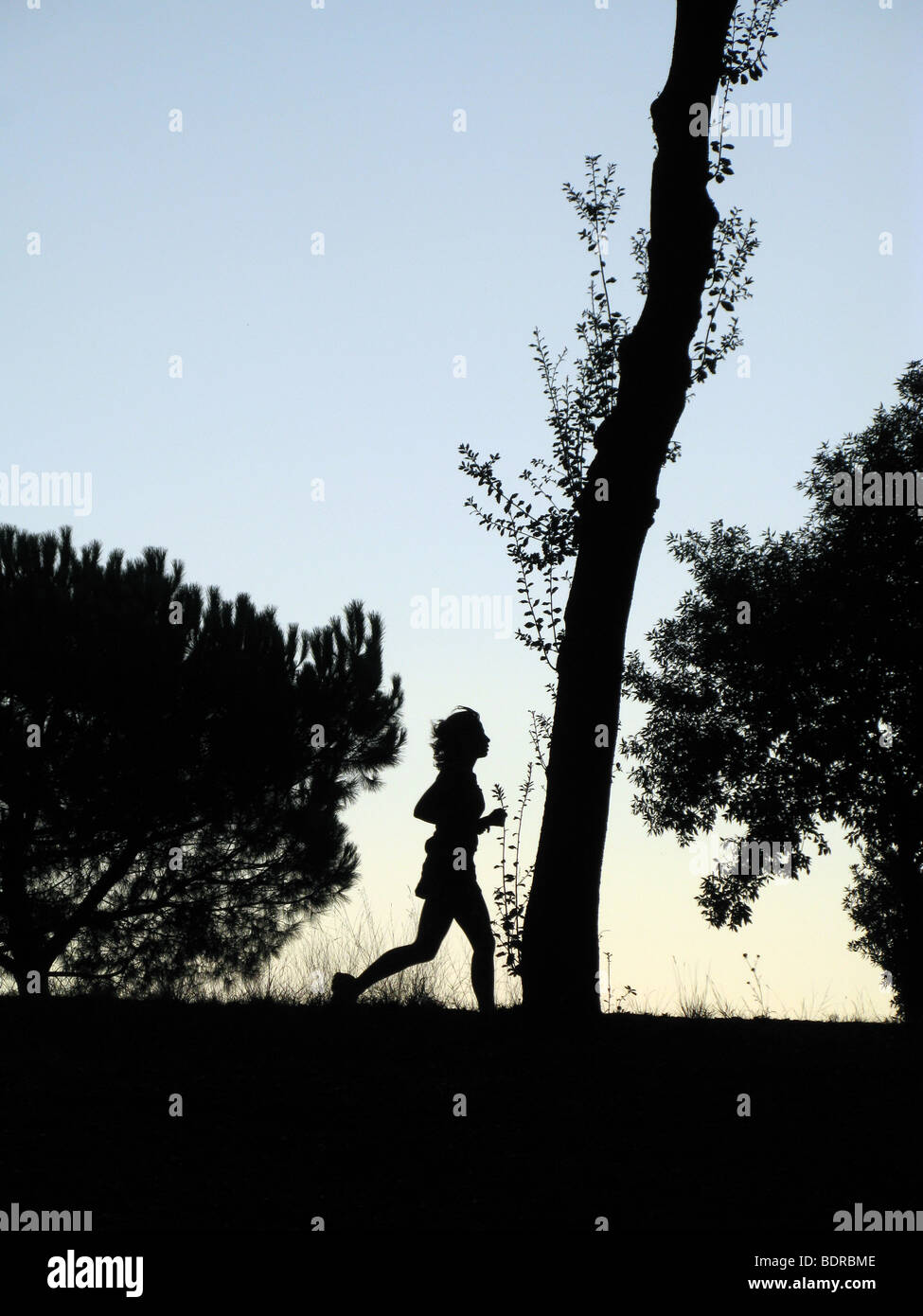 silhouette lonely runner in woods at dusk Stock Photo - Alamy
