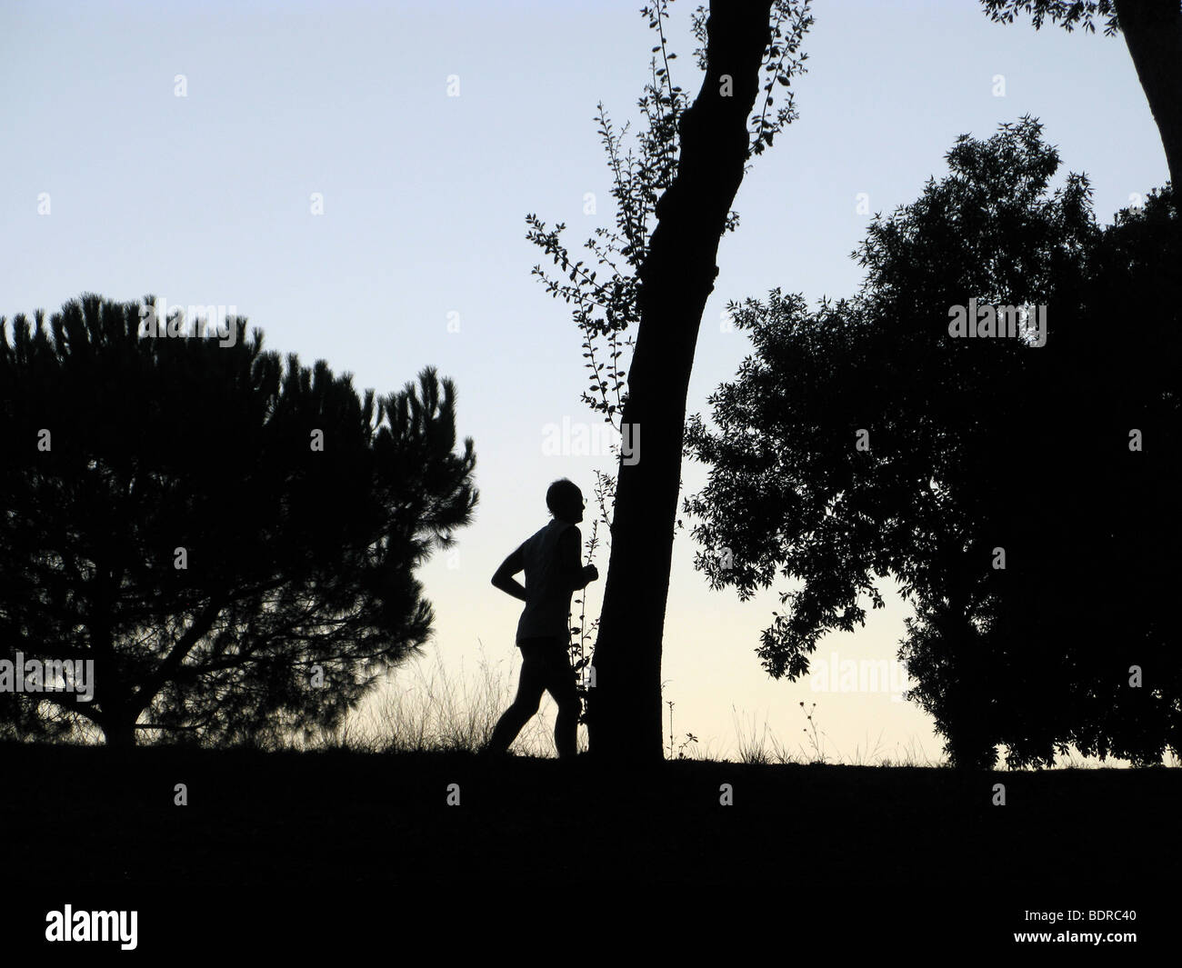 silhouette lonely runner in woods at dusk Stock Photo - Alamy