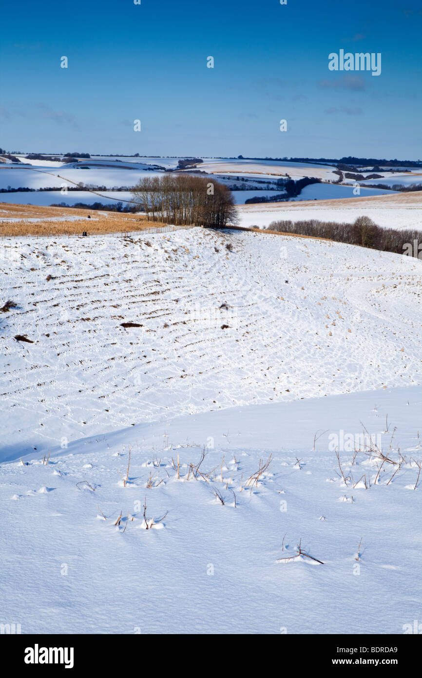 A winter landscape of downland in Wiltshire with snow Stock Photo - Alamy
