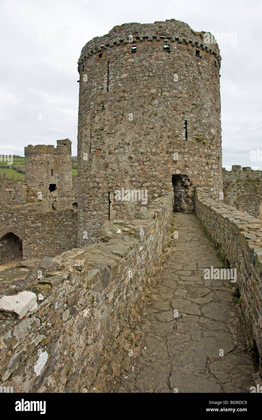 Rhys ap thomas hi-res stock photography and images - Alamy
