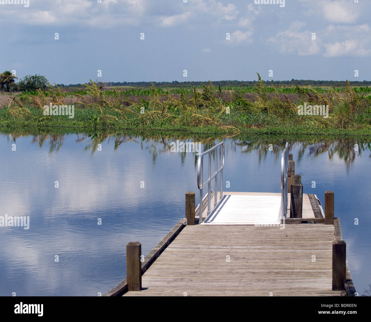 THE ST JOHNS RIVER IN CENTRAL FLORIDA IS ONE OF ONLY TWO RIVERS IN THE ...