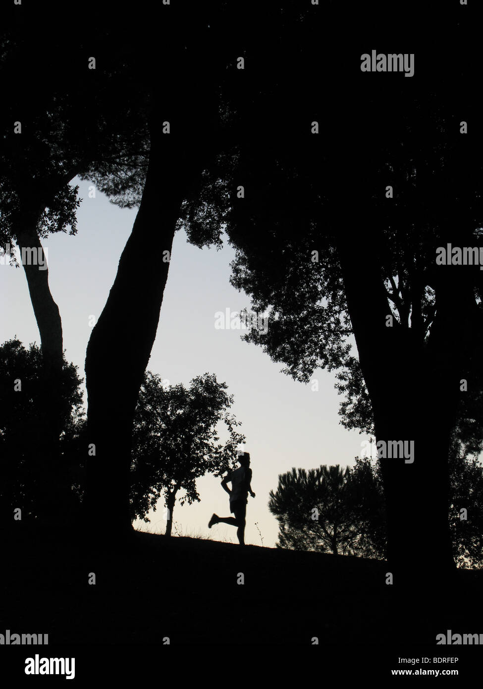silhouette lonely runner in woods at dusk Stock Photo - Alamy