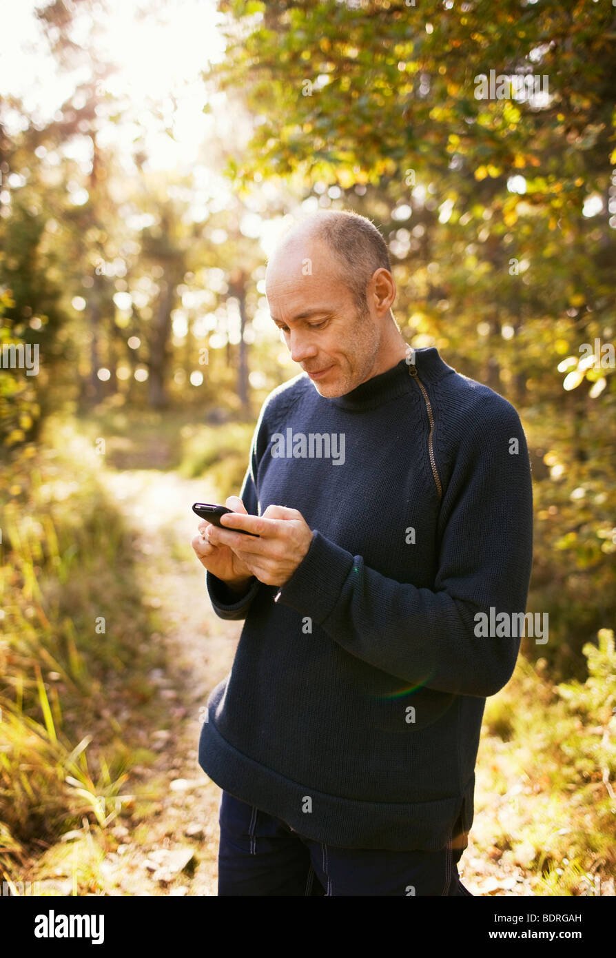 Looking up in forest hi-res stock photography and images - Alamy