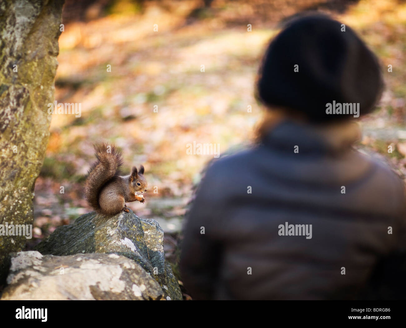 Human presences hi-res stock photography and images - Alamy