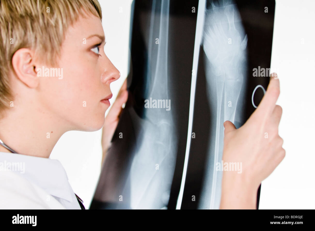 A female doctor holding an X-ray plate Stock Photo - Alamy