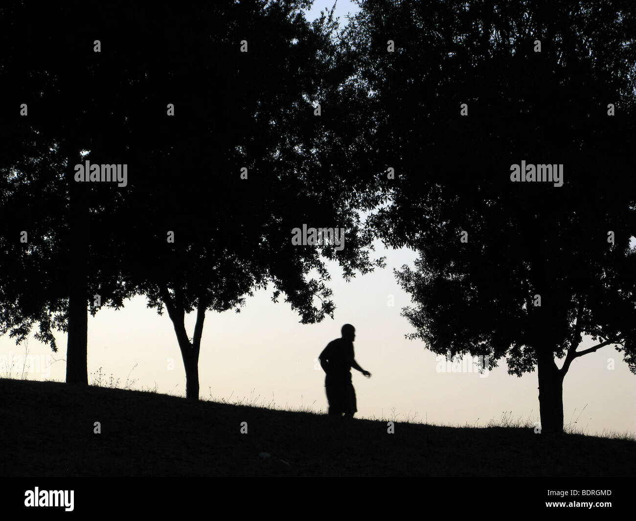 silhouette lonely runner in woods at dusk Stock Photo - Alamy