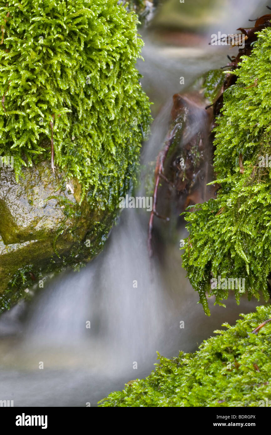 Kaskade cascade hi-res stock photography and images - Alamy