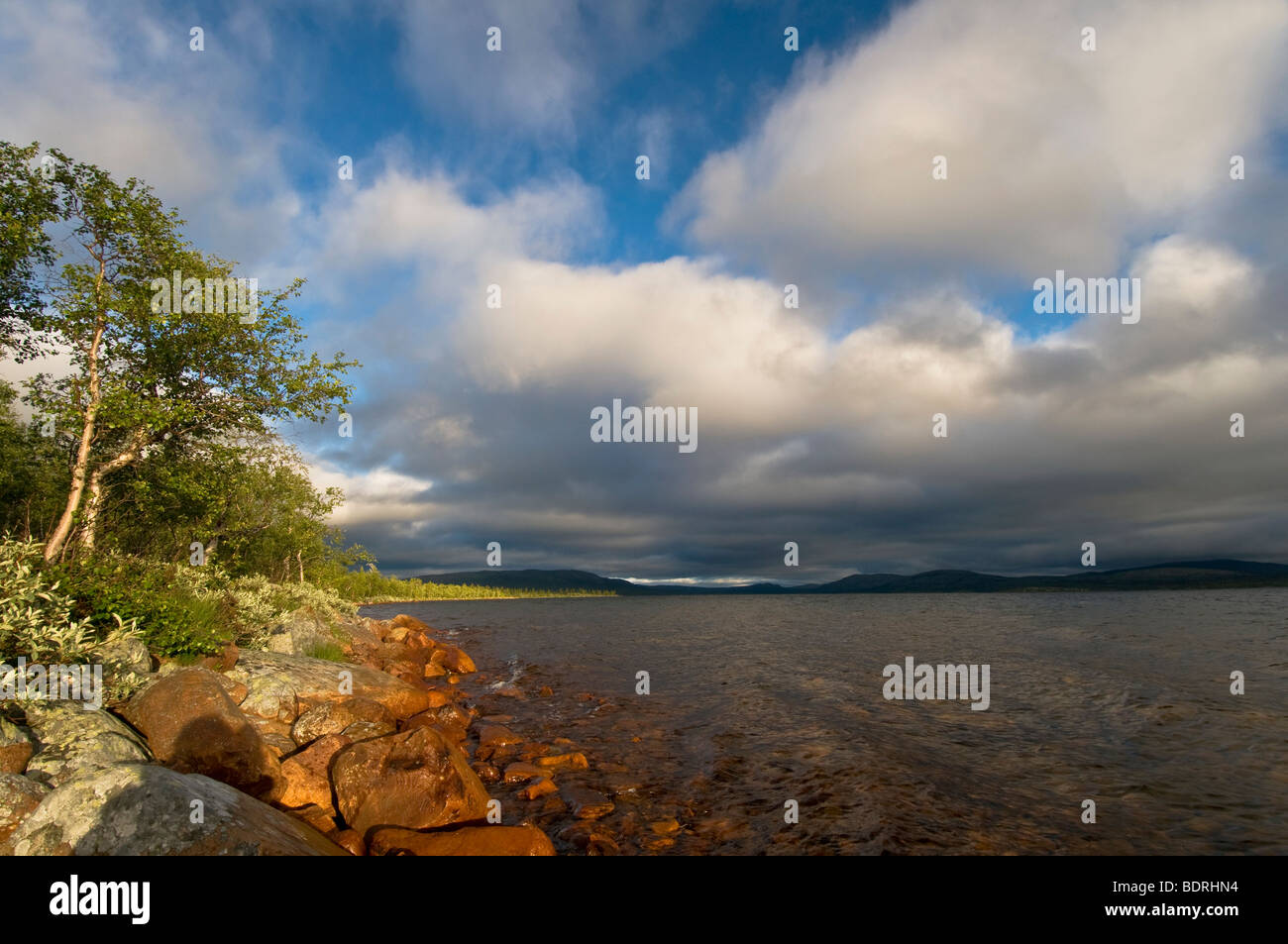 abendstimmung am see rogen, naturreservat rogen, haerjedalen, schweden ...