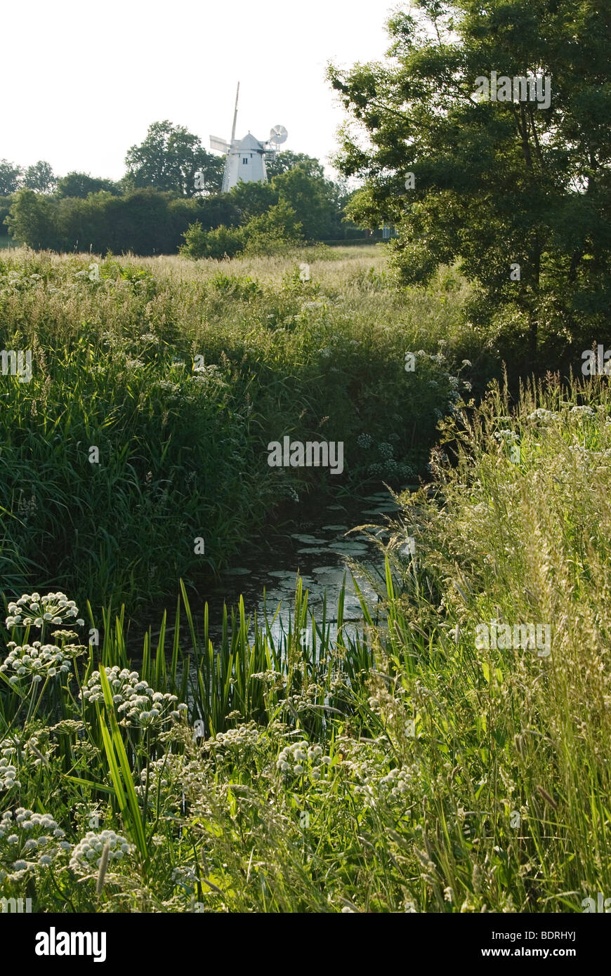 Shipley sussex hi-res stock photography and images - Alamy