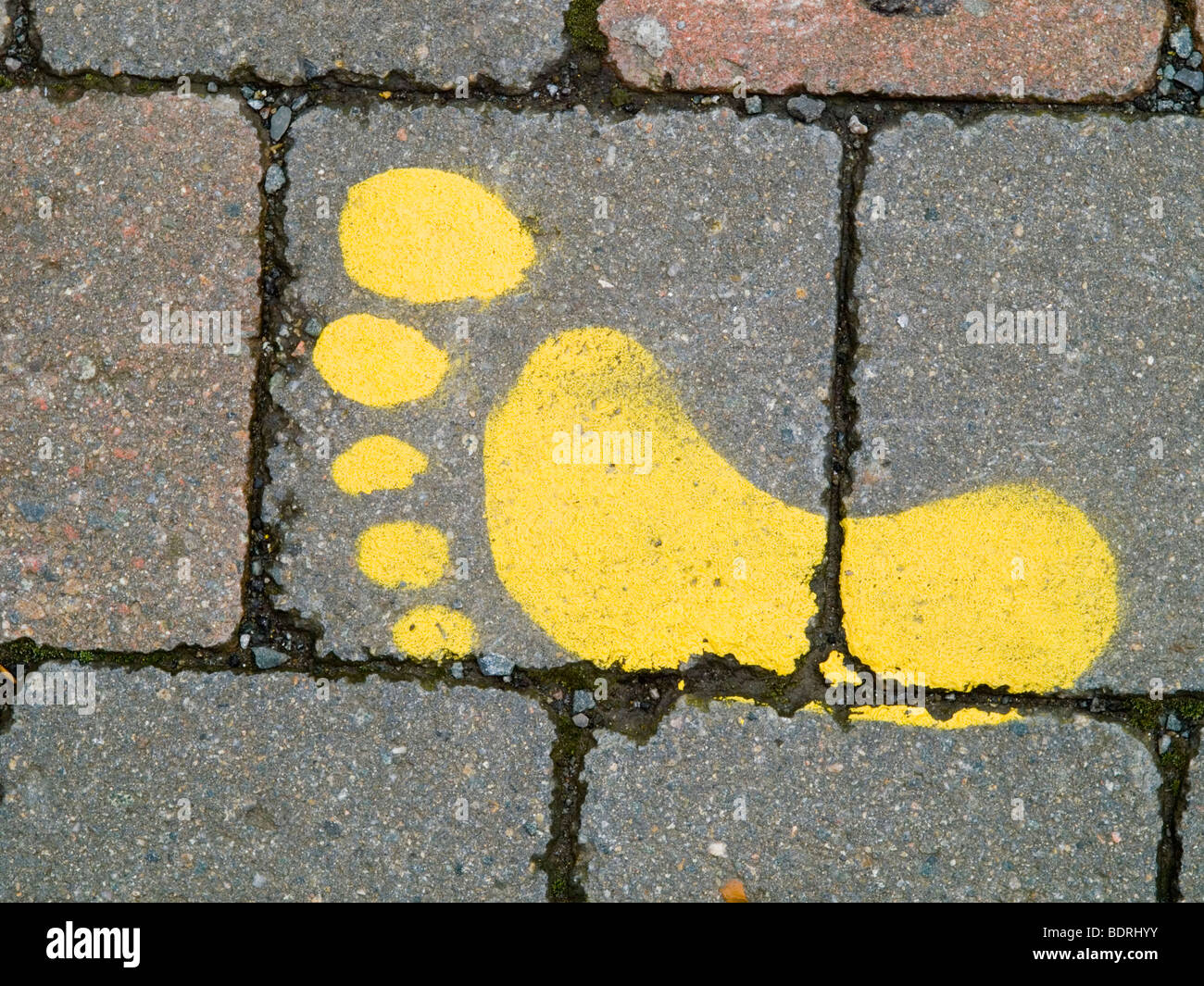 Pretty toes hi-res stock photography and images - Alamy