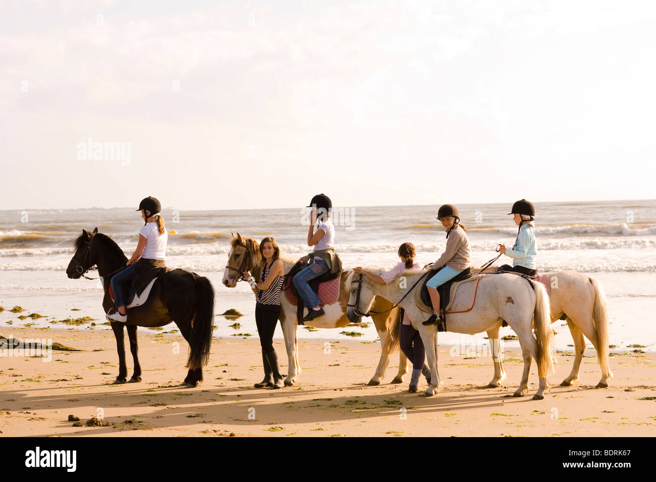 A horse riding school goes for a hack on the beach and in the surf ...